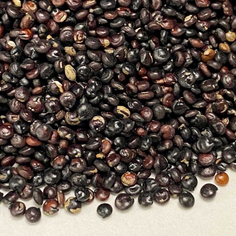 Quinoa - Granos y Semillas del Sur